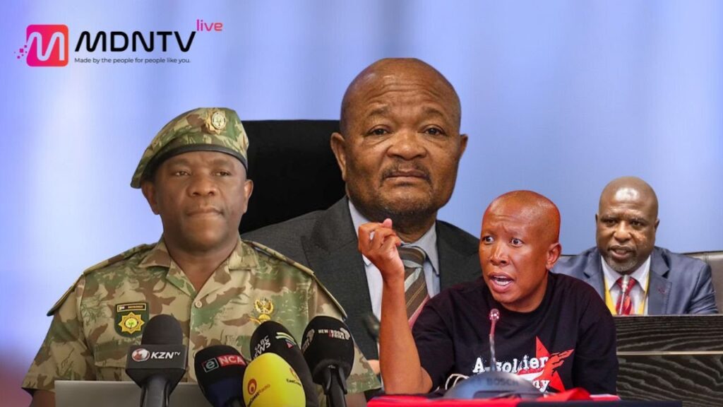 Ad hoc committee probing Mkhwanazi's claims to finalise terms of ...