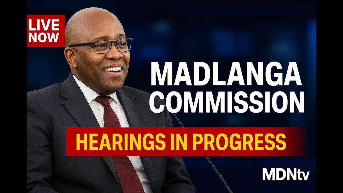 Brown Mogotsi GRILLED at Madlanga Commission | MDNtv - MDNtv